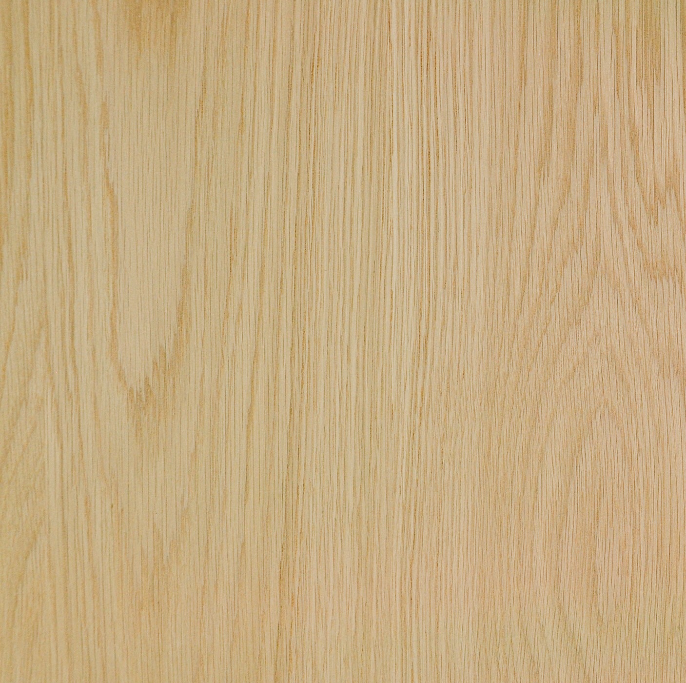 Amerikaanse Eik - Bosq - Love Wood